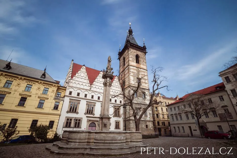 Svatební obřadní síně všech městských částí Prahy - Petr Doležal